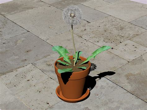 Rendering Advice Extensions SketchUp Community