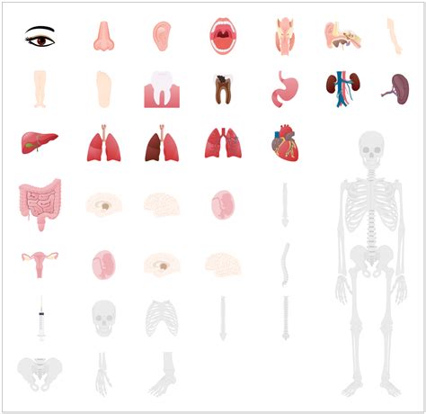 Halloween Organs Icons EdrawMax Template