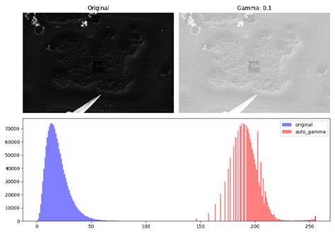 Automation Fibsem Docs