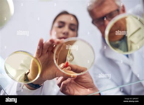 Closely Observing The Chemical Reaction Low Angle Shot Of Two