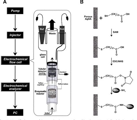 Figure 1 From Flow Electrochemical Biosensors Based On Enzymatic Porous Reactor And Tubular