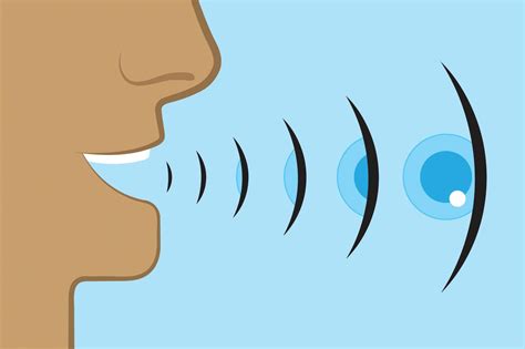 Anyone Can Learn Echolocation In Just 10 Weeks—and It Remodels Your Brain Kowatek Solar Ltd