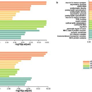Molecular Characteristics Of The Developmental Expression Patterns A Download Scientific