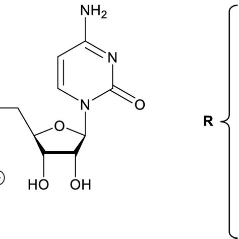 Chemical Structure Of The Various Cmp Sias Synthetized And Used In This Download Scientific