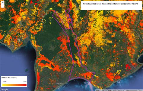 Forest Loss Analysis Of Ifm And Redd Projects Using Alliedoffsets Data