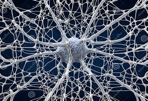 A Close Up View Of A Brain Showcasing Its Intricate Neuron Structure Stock Illustration