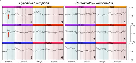Som Clustering Of Gene Expression Profiles During Development Som