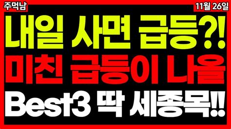 내일 이 3가지 종목 매수 기회 노려보세요 국내 1위 이 기업 재건관련주 Ai관련주 제약바이오 관련주 Sto관련주 가상화폐 급등주 주식추천 단타 추천주 11월 26일