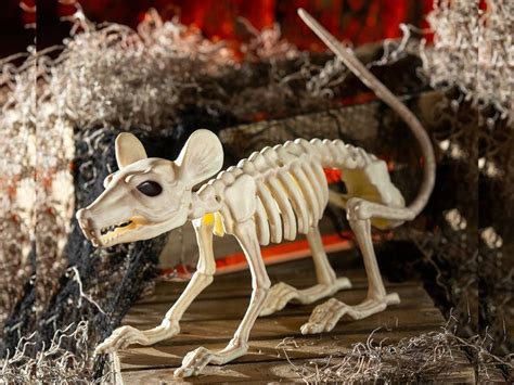 Large Plastic Rat Skeleton Prop Realistic Halloween Decor