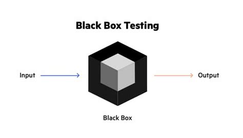 Black Box Testing