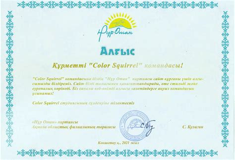 Digital студия Цветной Белки профессиональное продвижение бизнеса