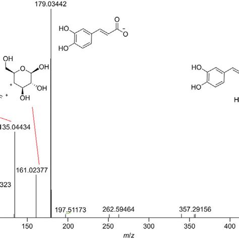 The Msms Spectra And Proposed Fragmentation For Gallic Acid In