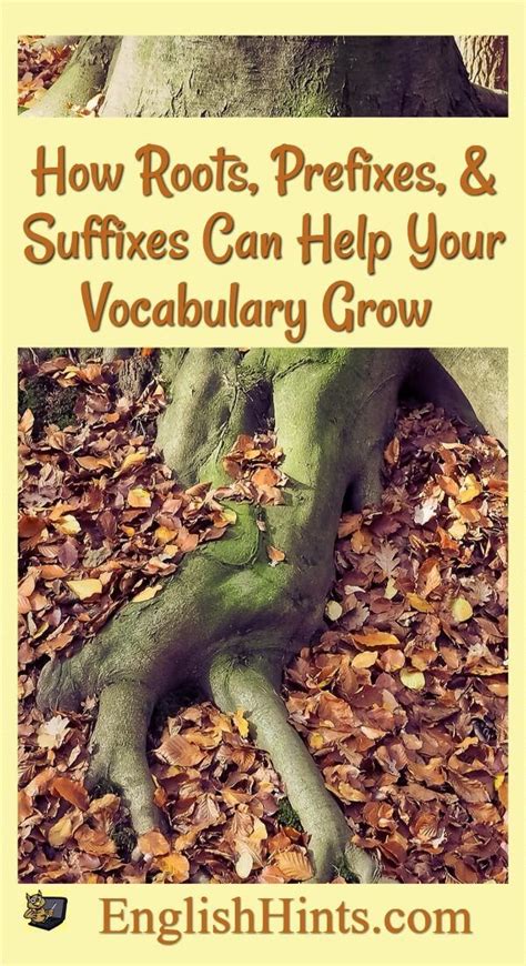 Roots Prefixes And Suffixes To Build Your Vocabulary Prefixes And Suffixes Prefixes