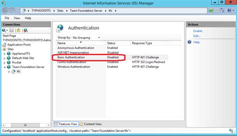 4011 Permission Error With On Premises Tfs When Accessing The Api With A Pat Black Marble