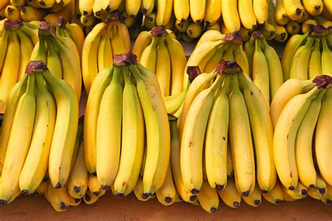 Tejidos De Bananas Son Presentados En La Semana De La Moda De Nueva York PortalFruticola Com