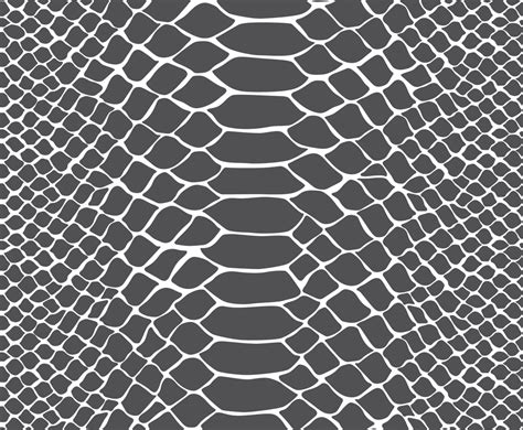 Black Snake Skin Pattern Vector Art And Graphics