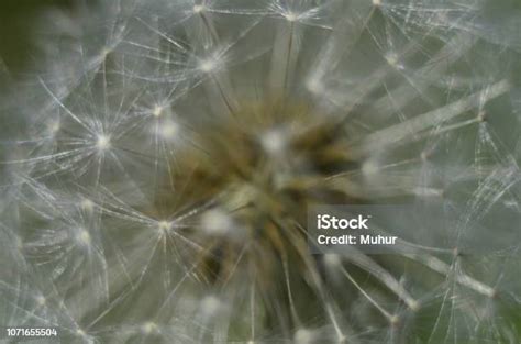 산 앞 산 호수에 아름 다운 볼 수 있습니다 Abant 호수의 보기입니다 영광 스러운 호수 풍경입니다 파란색과 녹색의 협업입니다 여러 색상과 놀라운 호수 풍경입니다 여가