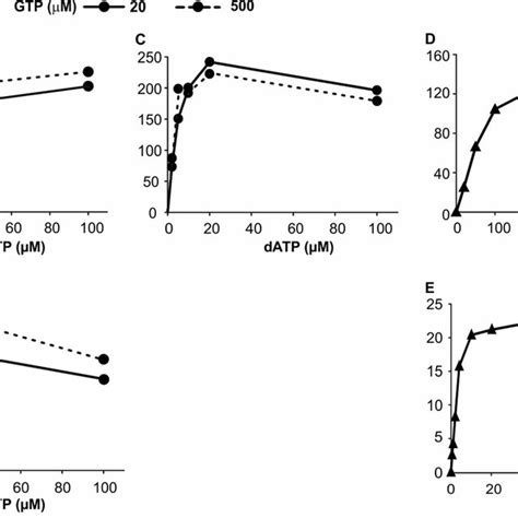 Gtp And Dgtp As Effectors For The Dephosphorylation Of Datp And Dttp Download Scientific