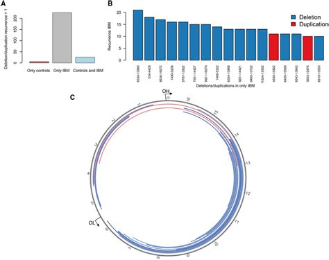 Recurrent Mtdna Rearrangements A The Number Of Recurrent Deletions