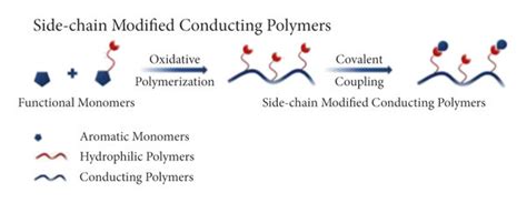 Schematic Diagram Of Preparing Functional CP A CP Compound B Side Download Scientific