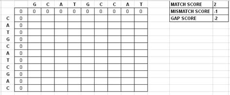 Anything Tutorials Bioinformatics Smith Waterman Algorithm With Example