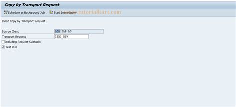 JBC SAP Tcode Sample Customizing Basis Data