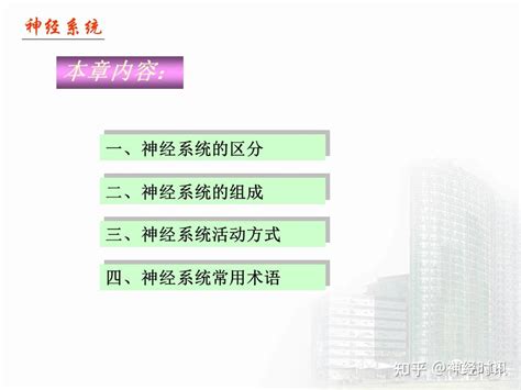 神经系统总论—神经系统的【区分、组成、 活动方式 、常用用语】 知乎