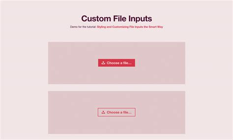 Design Dev Feed 40