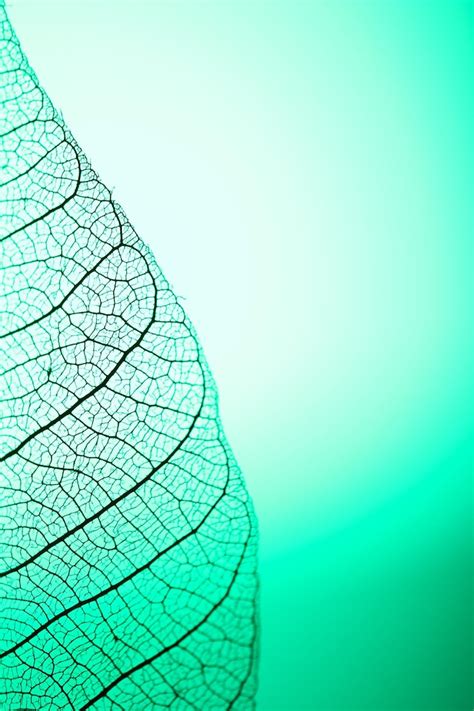 Фон Презентации Биология Изображения скачать бесплатно на Freepik