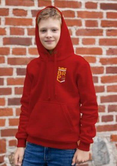 Progimnazijos Simboliai Vilniaus Barboros Radvilaitės Progimnazija