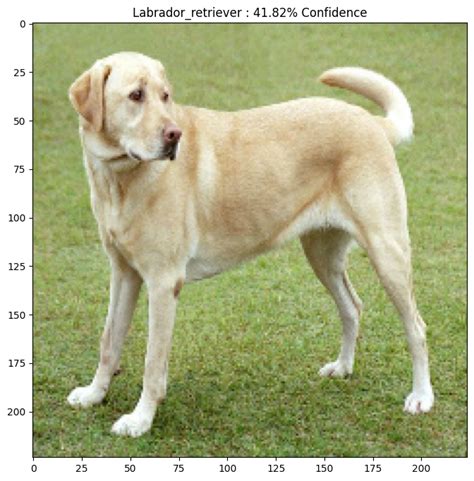 使用 Fgsm 的对抗样本 Tensorflow Core