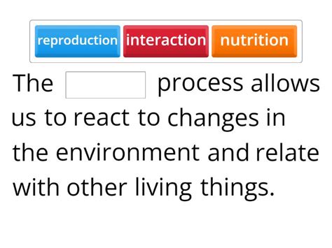 Interaction Function Complete The Sentence Interaction Function Complete The Sentence