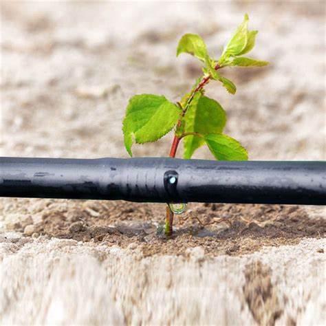 중국 맞춤형 Hdpe 드립 관개 파이프 라인 키트 파파야 관개 시스템 제조업체 공장 무료 샘플 Yibiyuan