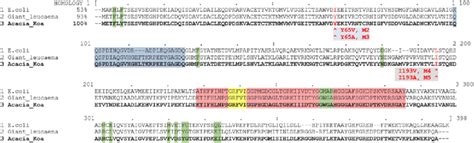 Multiple Sequence Alignment Showing Conserved Regions For Plant Download Scientific Diagram