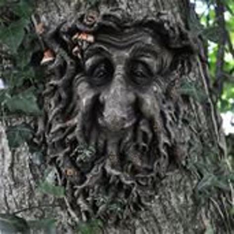 Tree Face Etsy