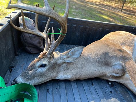 Shot A Low Fence 12 Pointer A Month Ago In Smithville Tx R Hunting