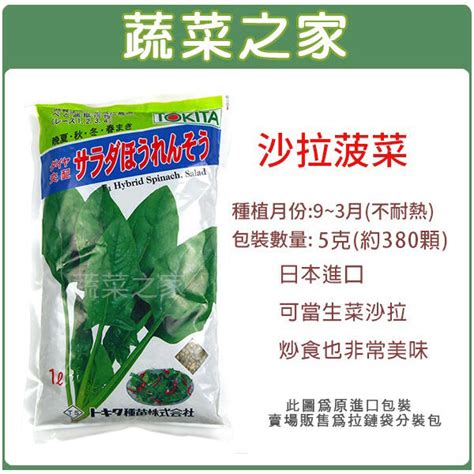 【蔬菜之家滿額免運】a51沙拉菠菜種子5克約380顆可當生菜沙拉炒食也非常美味 露天市集 全台最大的網路購物市集