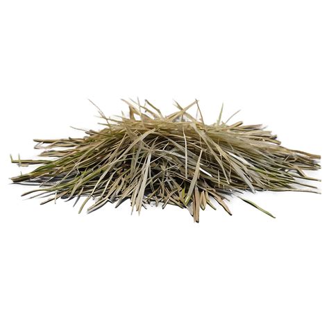 Dead Grass Overlay Png Uqr Png Image