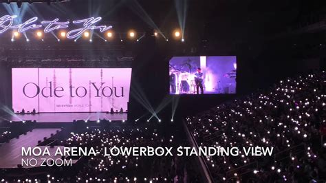 Moa Arena Lowerbox Standing View Youtube