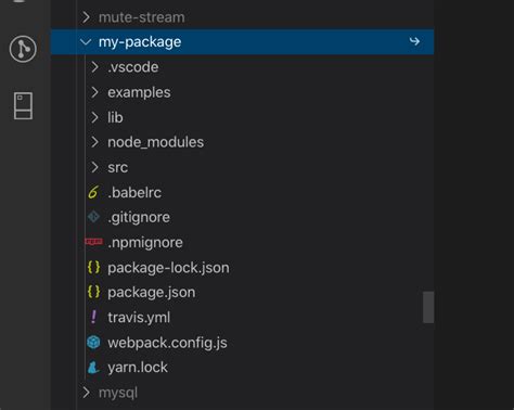 Nodejs Angular 2 Import Custom Package Stack Overflow