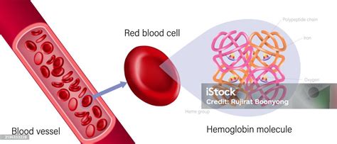 Oxygen Atom Year 1616 Oxygen Atomic Mass Signal 16 Website Of Zinser
