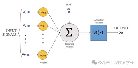 终于把神经网络算法搞懂了!!非常详细收藏我这一篇就够了 Csdn博客 终于把神经网络算法搞懂了!!非常详细收藏我这一篇就够了 Csdn博客