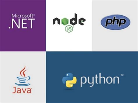 Expert Programming In Python C Java And Javascript Upwork