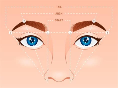 master the art of eyebrow mapping a step by step guide for perfect brows