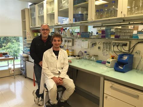 Cic Biogune Researchers Identify Immune Cell Checkpoints That Regulate Cell Responsiveness To