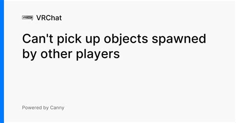 Cant Pick Up Objects Spawned By Other Players Voters Vrchat