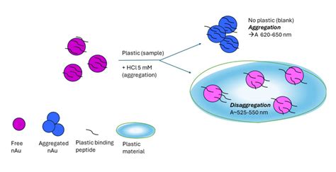 Plastic Analysis With A Plasmonic Nano Gold Sensor Coated With Plastic Binding Peptides [v1