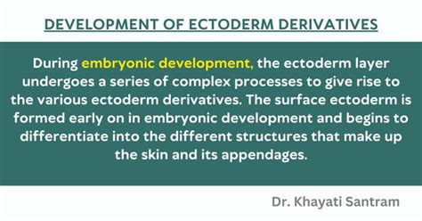 Ectoderm Derivativespdf