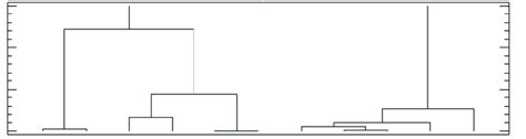 The Dendrogram Of The Clustering Of The Oecd Countries According To The