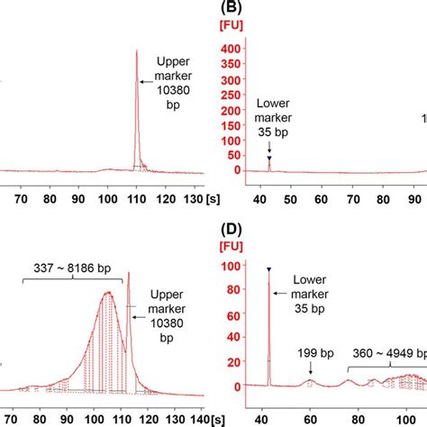 Evaluation Of Cfdna Fragment Length Using Agilent 2100 Bioanalyzer
